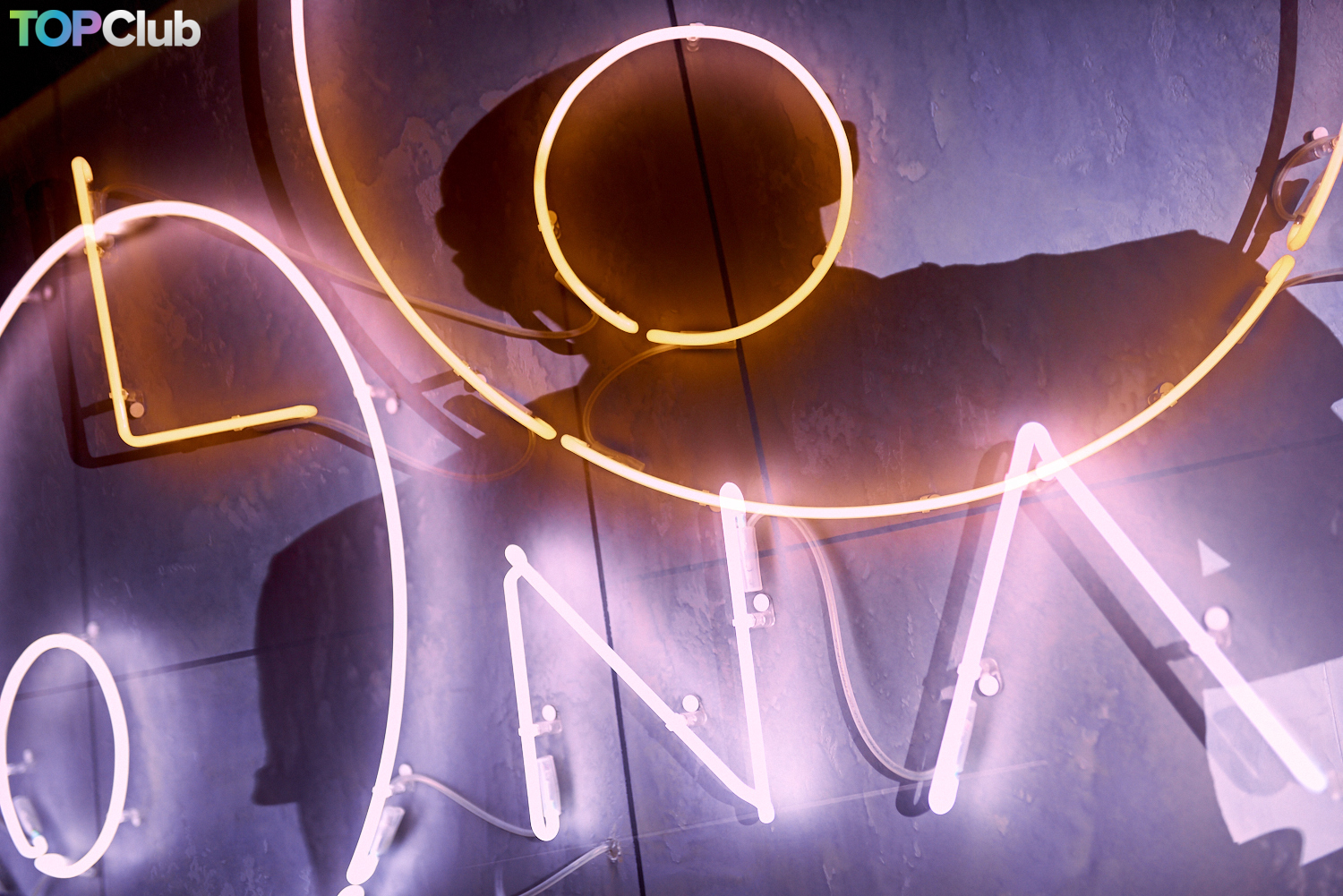 Фотоотчет Karaoke Rnb party, Loona, 10 февраля – Фотогалереи – TOPClub